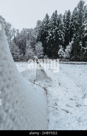 Metal fence covered with snow and frost crystals at sunset Stock Photo ...