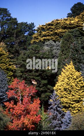the woods are in the Adelaide hills Stock Photo - Alamy
