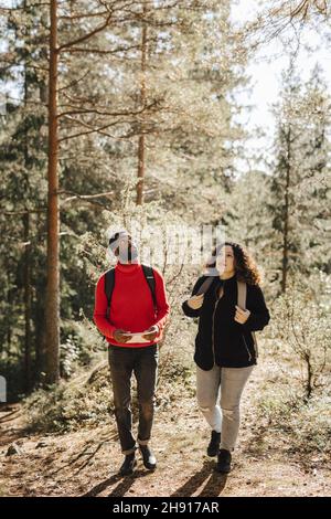 Couple walking in forest Stock Photo - Alamy