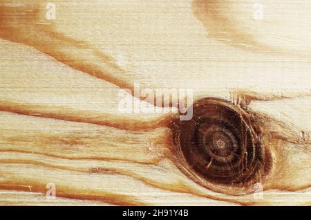 Knotty pine cut natural wood texture Stock Photo - Alamy