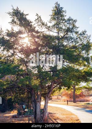 Fall color in Mitch Park at Edmond, Oklahoma Stock Photo - Alamy