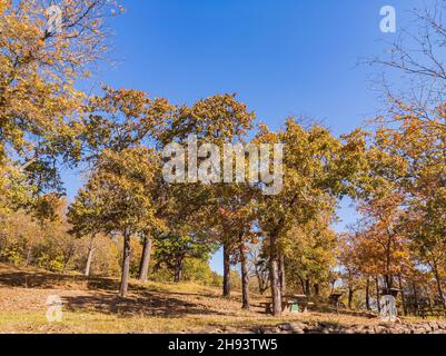 Nature autumn fall color of Greenleaf State Park at Oklahoma Stock ...