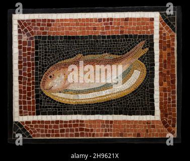 Ancient mosaic floor with fish. 2nd-3rd century. National Roman Museum ...