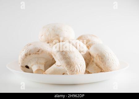 premium champignon mushrooms isolated on white background Stock Photo ...