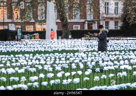 A rose in the Ever After Garden in Grosvenor Square, London, which is ...