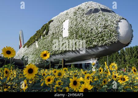 A flower-covered Emirates Airbus A380 at the Dubai Miracle Garden ...