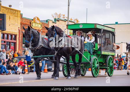 Oklahoma, DEC 4, 2021 - Horsecar walking in Cowboy Christmas Parade ...