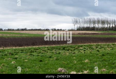 View over trees and meadows at the Belgian countryside during sunset Stock Photo - Alamy