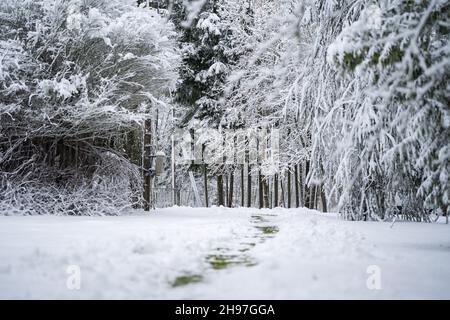 The cleared path from snow to closed gates Stock Photo - Alamy