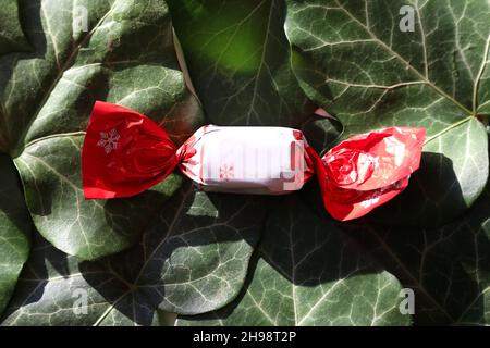 Closeup of one wrapped sweetness christmas fondant on natural green ...