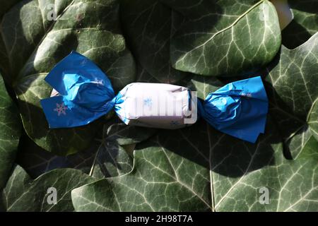 Closeup of one wrapped sweetness christmas fondant on natural green ...