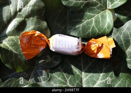 Closeup of one wrapped sweetness christmas fondant on natural green ...