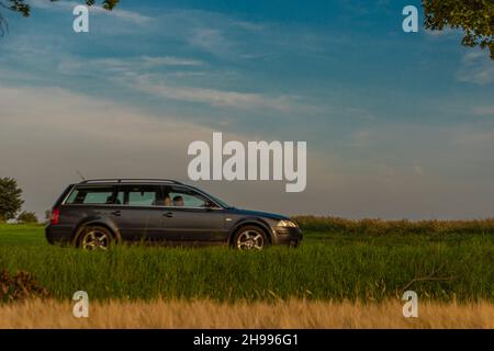 Passenger cars on alley road with leaf trees in sunset summer color ...