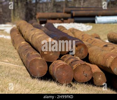 Pressure treated wooden utility poles , Finland Stock Photo - Alamy