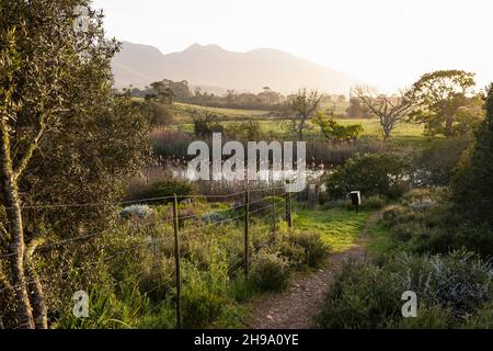 Wandel Pad, Stanford, Western Cape, South Africa Stock Photo - Alamy