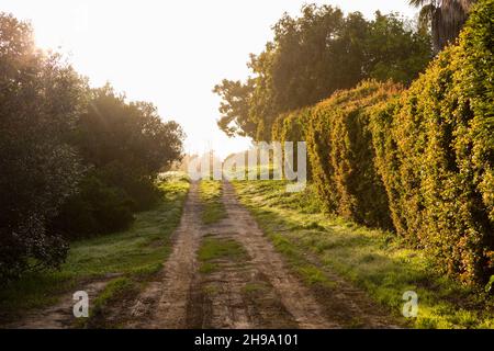 Wandel Pad, Stanford, Western Cape, South Africa Stock Photo - Alamy