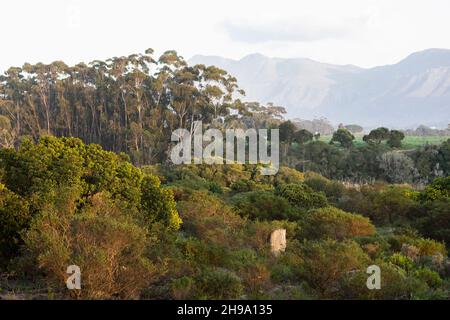 Wandel Pad, Stanford, Western Cape, South Africa Stock Photo - Alamy