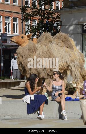 Young women show a mobile phone Stock Photo - Alamy