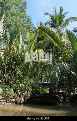 creek at ben tre in vietnam Stock Photo - Alamy