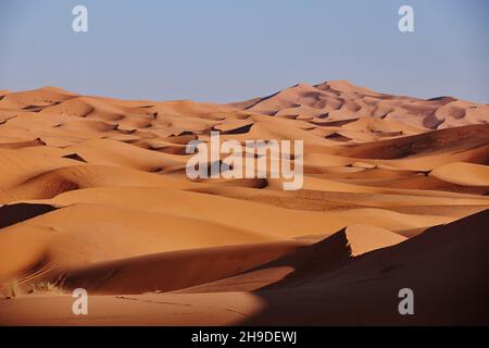 Endless Sands of the Sahara desert. Beautiful sunset over sand dunes of ...