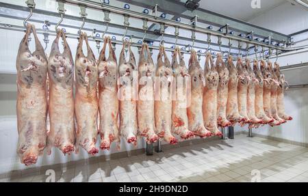 Lamb carcasses hanging on hooks in slaughter house before transfer to ...