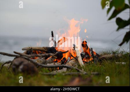 Photo shows how the fire is burning, tongues of flame of orange thread ...