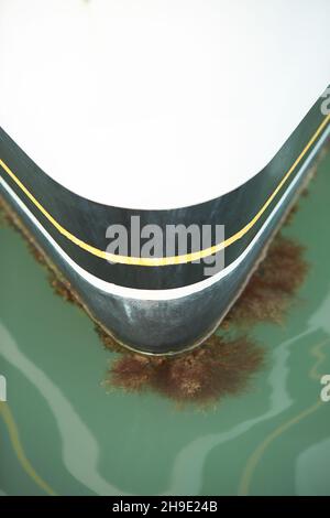 Molluscs, overgrown ship bottom. Shellfish on the hull of the ship ...