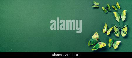 backgrounds, butterfly, background, butterflies Stock Photo - Alamy