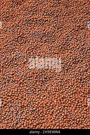 Expanded clay aggregate texture background in sunlight Stock Photo - Alamy