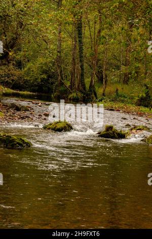Natural river of water that flows permanently Stock Photo - Alamy