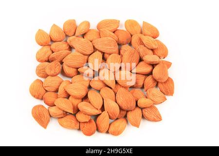 apricot kernel isolated on white background Stock Photo - Alamy