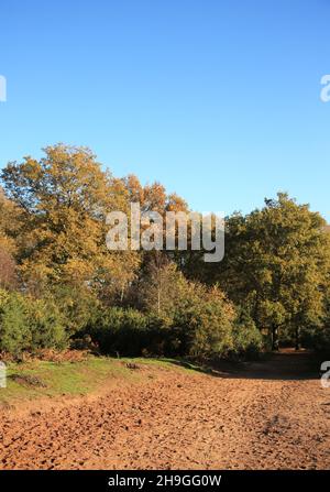 Public path on Kinver edge, Kinver, Staffordshire, England, UK Stock ...