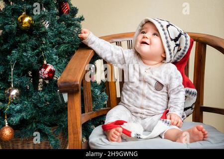 One small Christmas tree with santa hat on colored background. new year ...