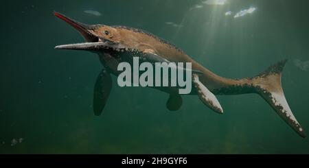 Shastasaurus swimming in the ocean, extinct marine reptile from Early ...