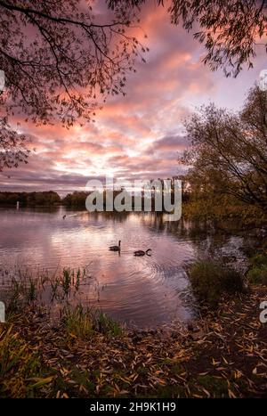 Sunrise reflections on the Lake at Colwick Country Park in Nottingham ...