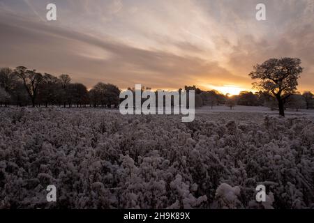Snowy winter sunrise at Wollaton Hall Park in Nottingham ...