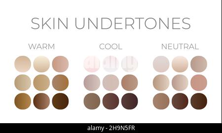 Skin Color Scale with Gradient Swatches Stock Vector Image & Art - Alamy