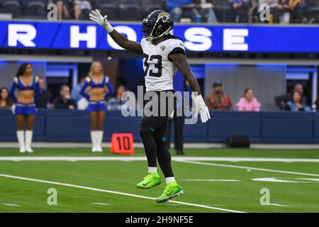 Jacksonville Jaguars running back Dare Ogunbowale (33) without his ...