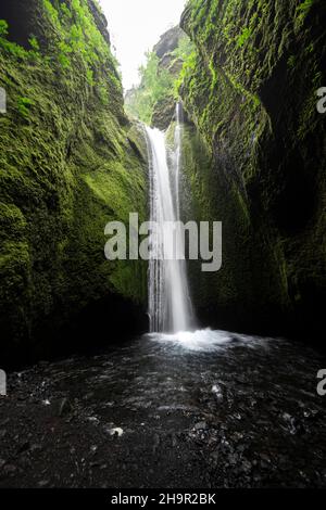 Waterfall, river in Nauthusagil Gorge, South Iceland, Iceland Stock ...