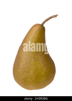 Pear variety Calebasse de Tirlemout, cut out Stock Photo - Alamy