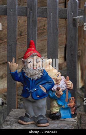Garden gnome gives the finger Stock Photo - Alamy