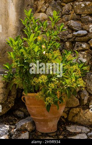 Abandoned 16th century Kato Moni Preveli, Crete, Preveli, Crete, Greece ...