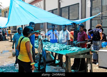 Fish Market, Suva, Fiji Stock Photo - Alamy
