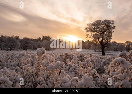 Snowy winter sunrise at Wollaton Hall Park in Nottingham ...