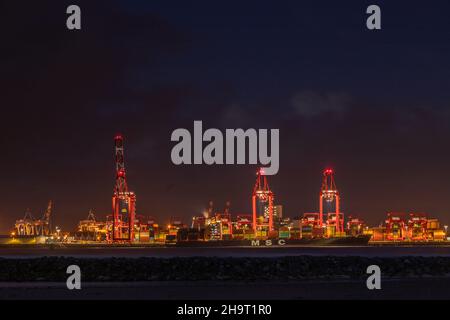 Red cranes at night at Liverpool 2 Container terminal, England Stock ...