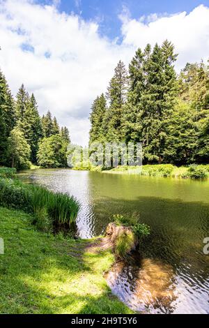 Soudley Ponds in Forest of Dean, Gloucestershire England UK. River ...