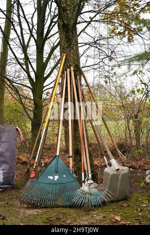 different garden rakes standing together at a tree , Germany, North ...
