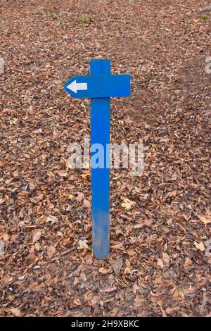 autumn leaves, directional arrow, leaf, directional arrows Stock Photo ...
