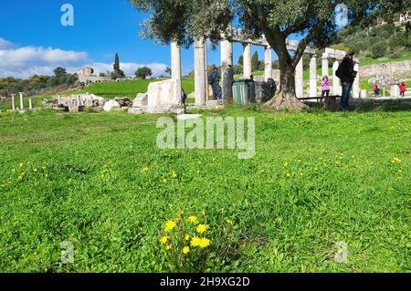 Ancient Messina: A leading archeological site, more important than ...