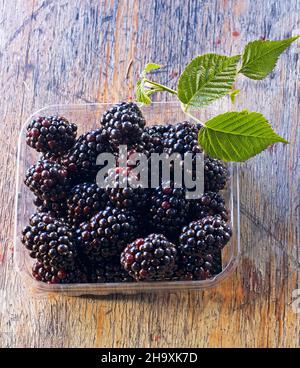 Fresh blackberries in a plastic punnet FoodCollection Stock Photo - Alamy